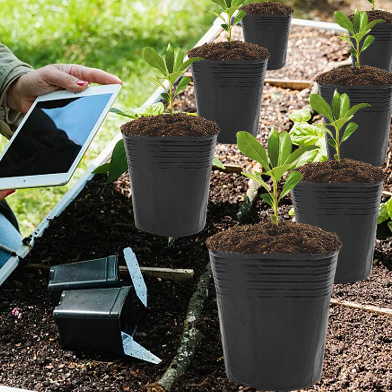Plant Nutrition Pot Cups - Round Slotted Mesh Container - Plastic ...