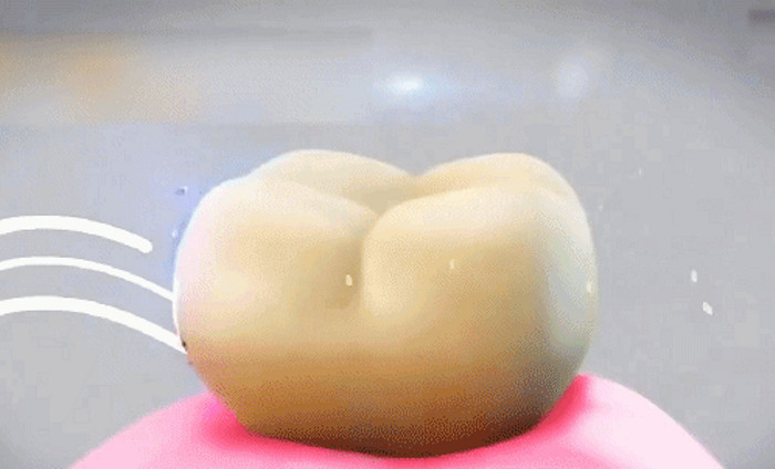 Portable Toothpaste Solid Oral Care Chewable Tablets Scented Toothpaste[Tartar Removal/Fresh ...