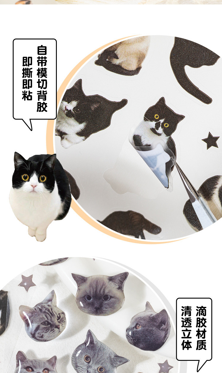 ENWEI 2 Pcs [Mimi Meow Meow Series] Cute And Versatile Handheld Account ...