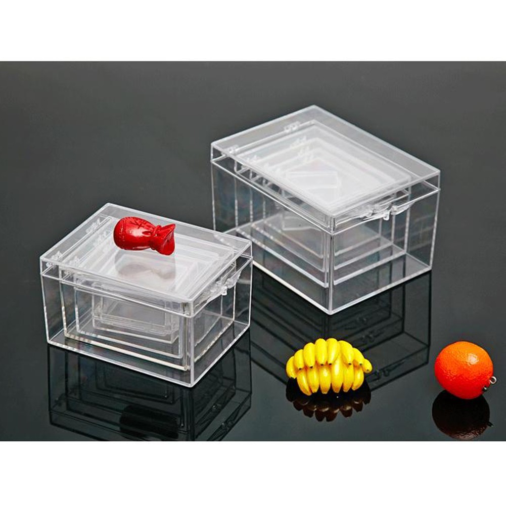 【GIG】Clear Plastic Box Rectangular Insect Specimen Display Desktop ...