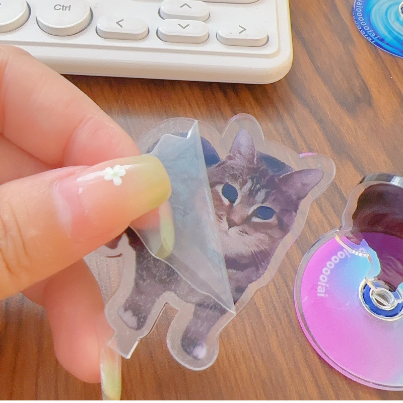 Oiiaioo Meme Cat Ornament - 360° Rotating Acrylic Funny Kitten - Car ...