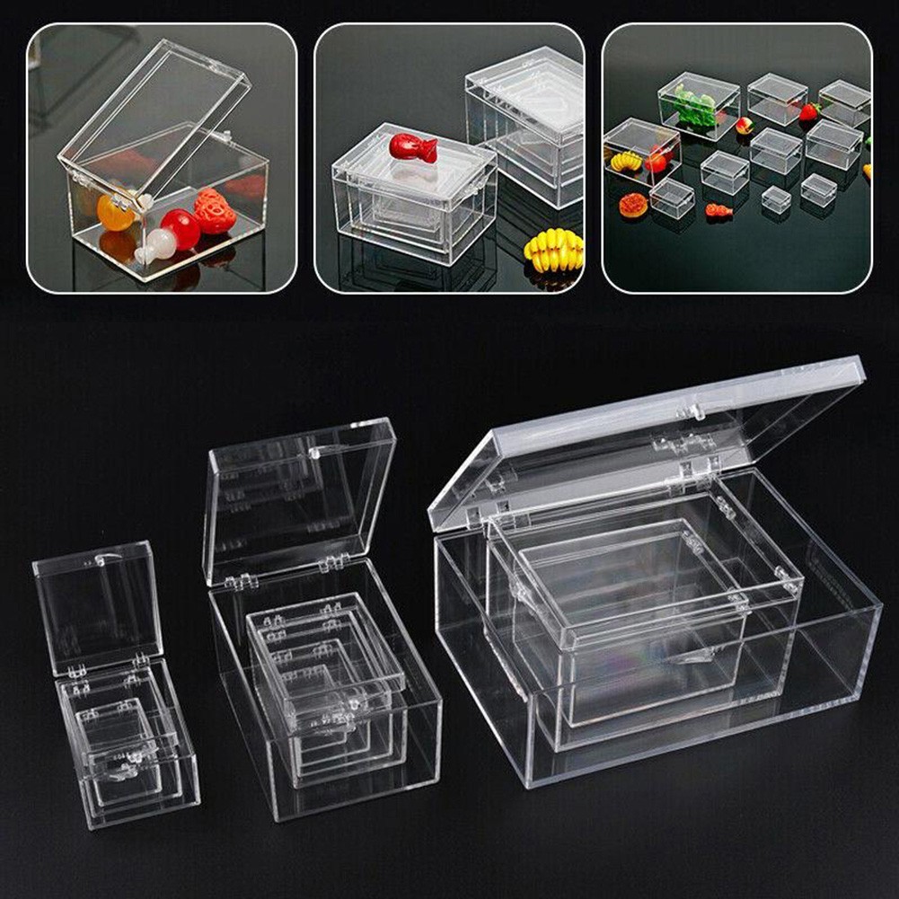 【GIG】Clear Plastic Box Rectangular Insect Specimen Display Desktop ...