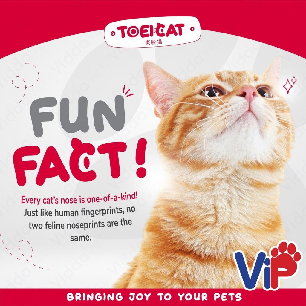 1kg Toeicat Tuna Cat Food Complete & Balanced catfood Wholesome ...