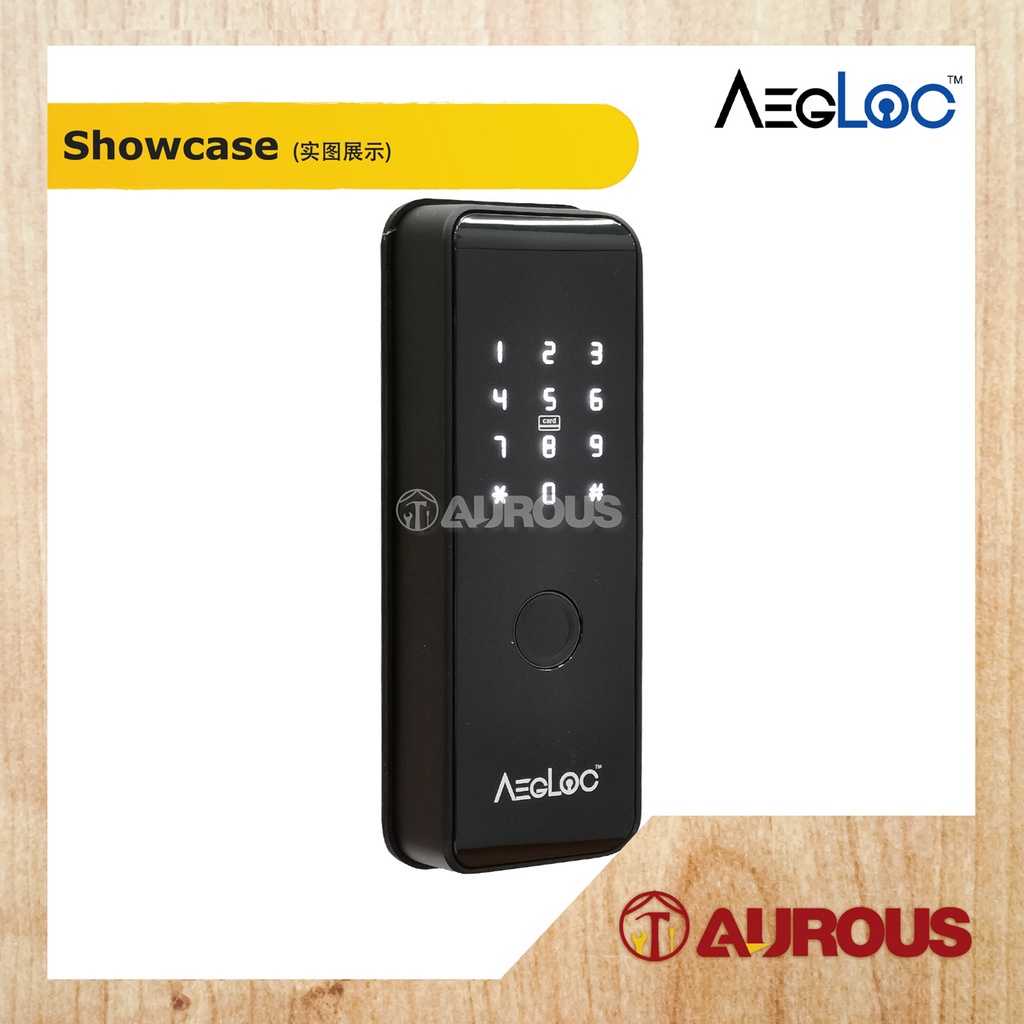 ARMOR AEGLOC DIGITAL FINGERPRINT SMART DIGITAL RIM DOOR SECURITY LOCK ...