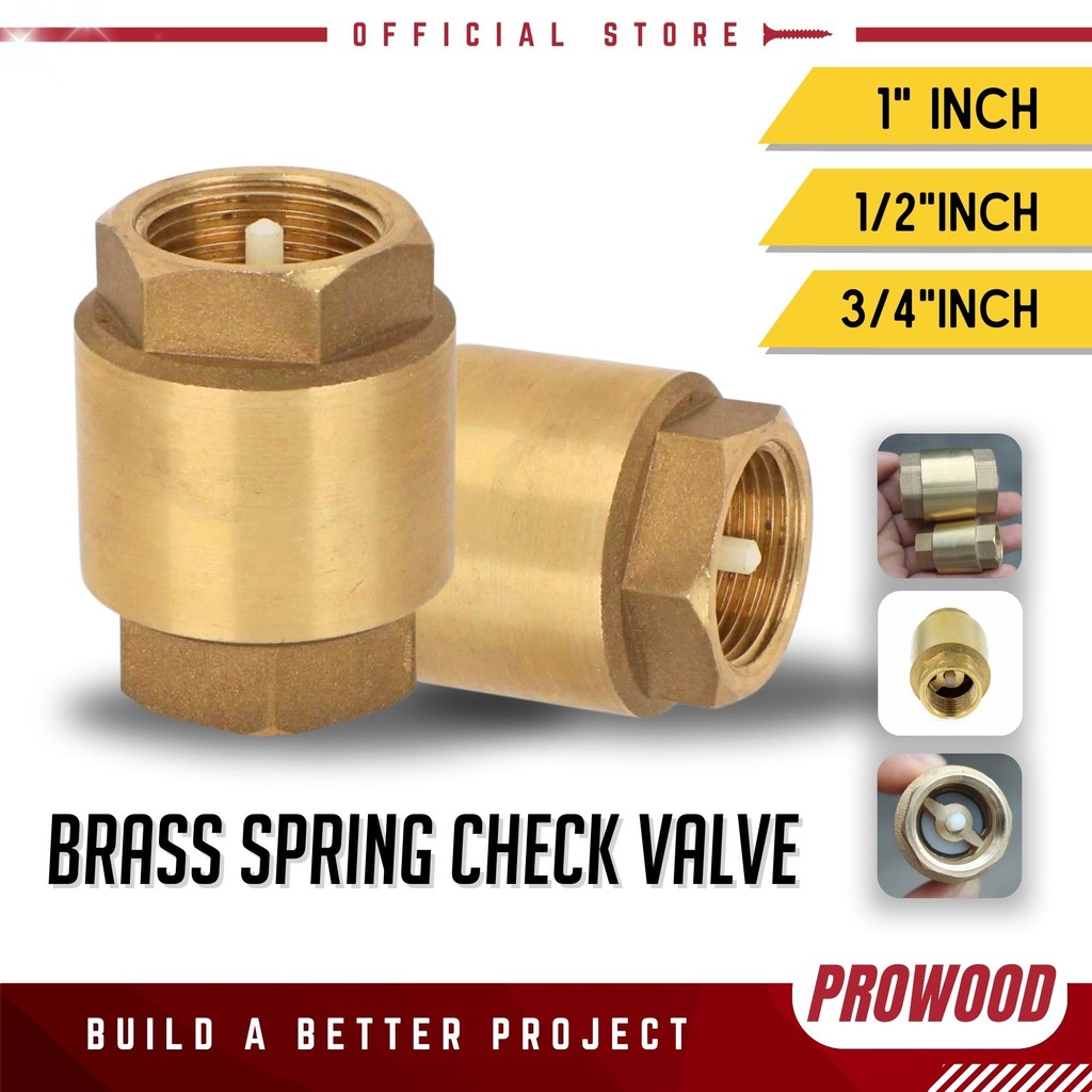 Brass Spring Check Valve (1"|1/2"|3/4"Inch) One Way Valve Non Return ...