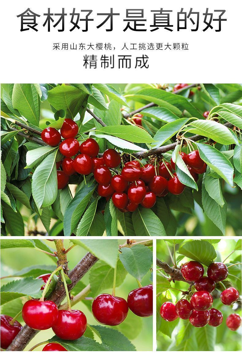 ZEJUN New big cherry cherries, plum fruit, dried cherry, original ...