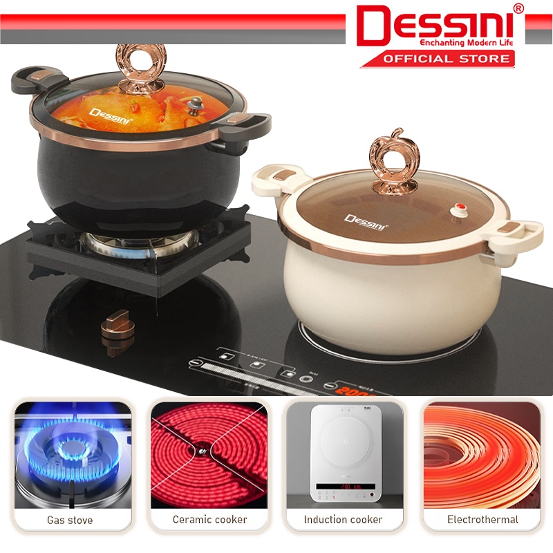 DESSINI ITALY 26CM Pressure Cooker Casserole Induction Non Stick Die ...