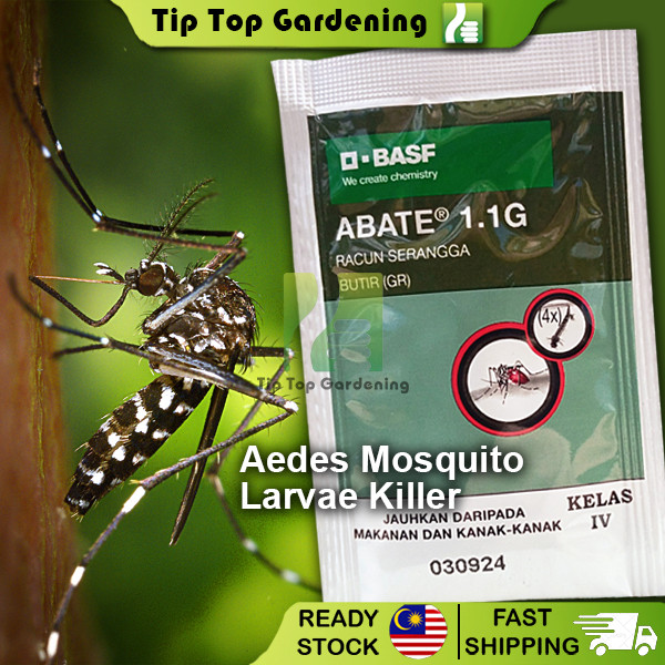 Insecticide 100g/ 10g ABATE 1.1G Aedes Mosquito Larvae Killer / Racun Serangga Nyamuk | Shopee ...