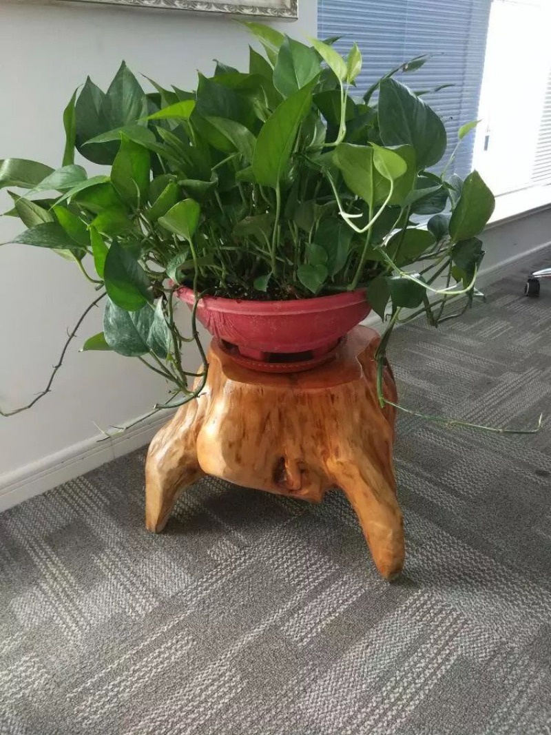 Root Carving Stool Tree Root Tea Table Stool Bonsai Solid Wood round a ...