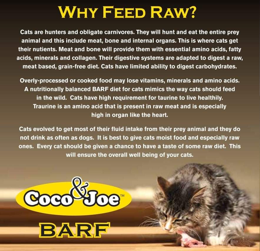 [Instant Delivery] Coco & Joe Barf Raw Food For Cats ( 300g and 1kg ...