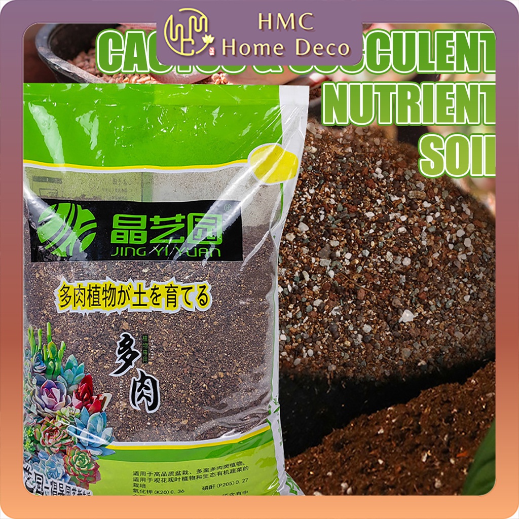 Cactus & Succulent Nutrient Soil Organic Succulent Potting Mix Garden ...