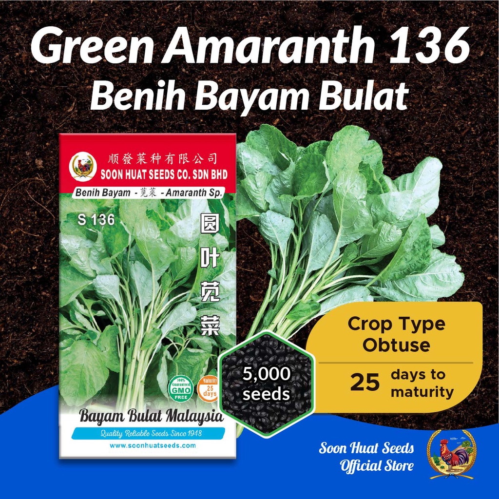 [Small Pack/30g] 136 Benih Sayur Bayam Hijau Bulat Soon Huat Seeds ...