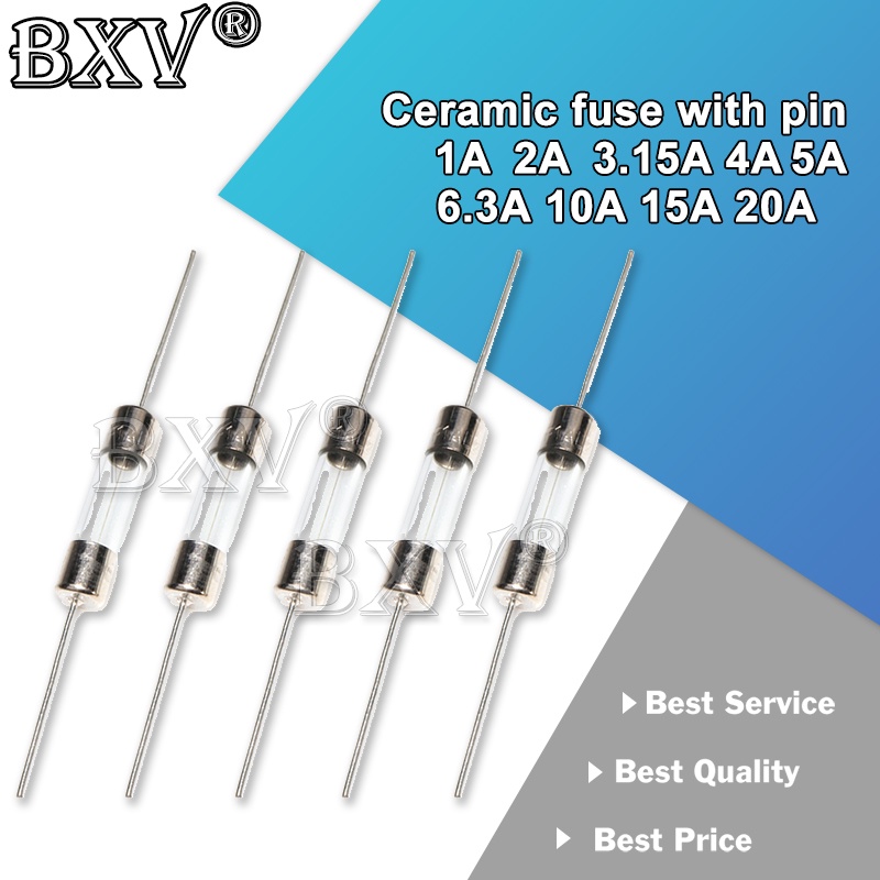 10PCS 5x20mm 5*20 Fuse Slow Blow Tube Fuse With A Pin PUMUDDSY 250V 1A 2A 3.15A 4A 5A 6.3A 10A ...