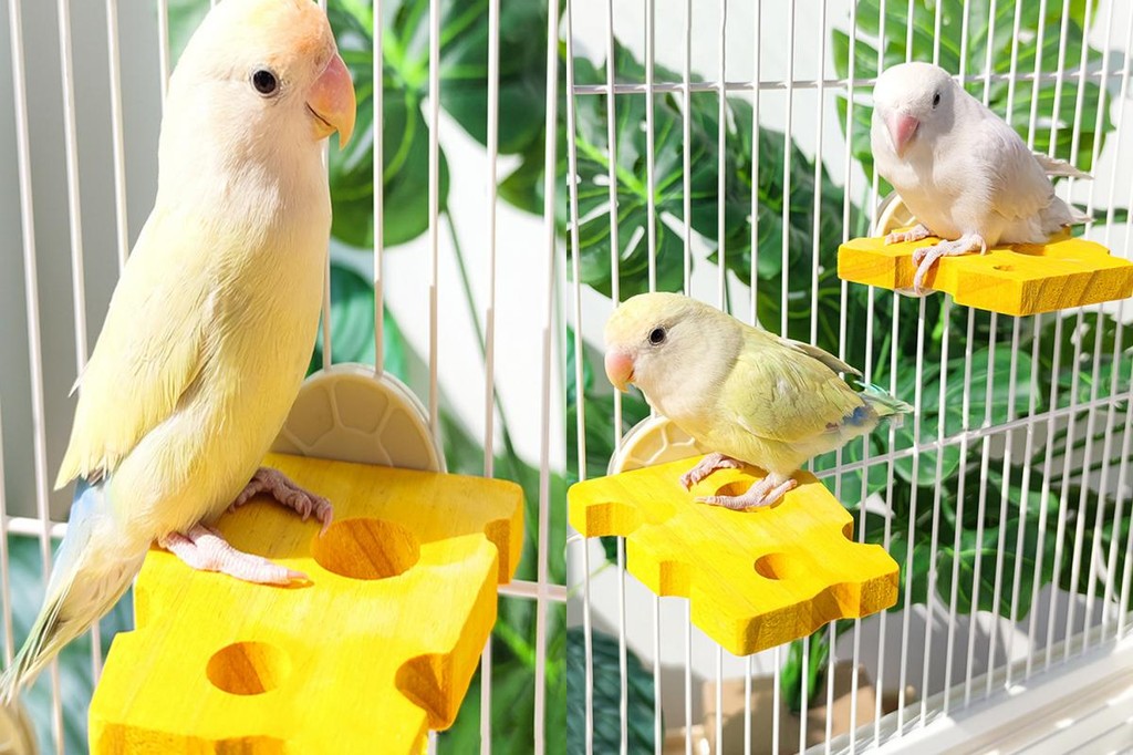 {BIG} Birds Perch Chewable Birds Perch Wooden Parrot Perch Toy for ...