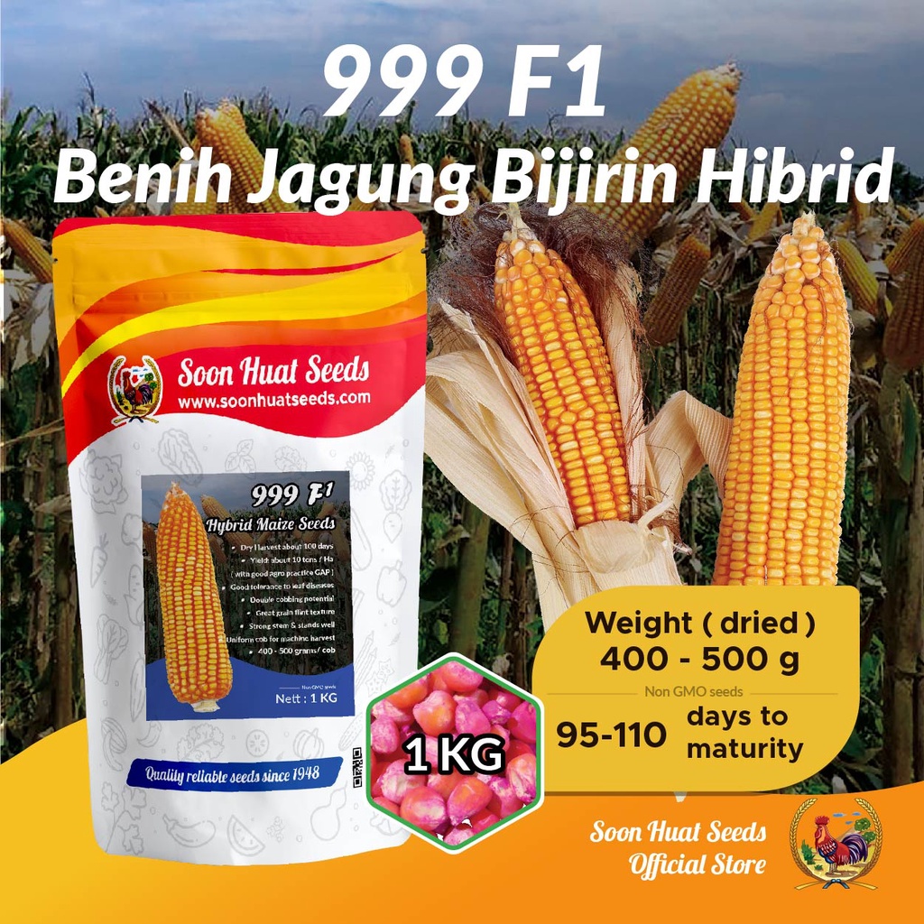 [1 KG] 999 Benih Jagung Bijirin Animal Feed Corn Soon Huat Seeds ...