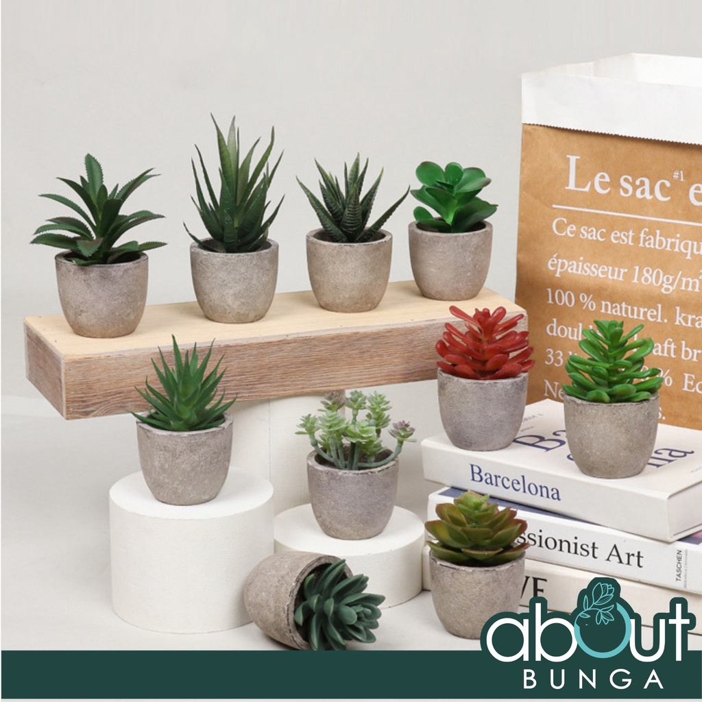 Artificial Mini Succulent Fake Plant With Pot Pokok Kaktus Small Pot ...