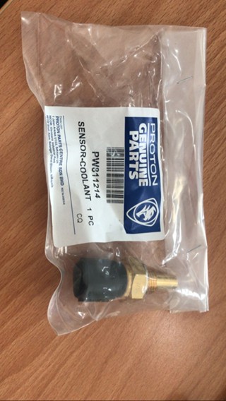 Proton Coolant Sensor Temperature Switch Saga BLM FLX Old Persona Gen2 ...