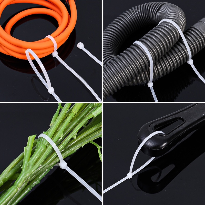 100pcs Hole Mount Nylon Cable Zip Ties / Self Locking Loop Wrap Bundle ...