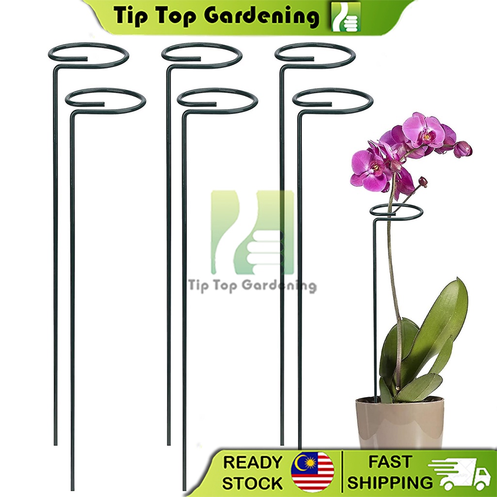 Metal Plant Support Rod Garden Plant Support Stake Flowers Orchids ...