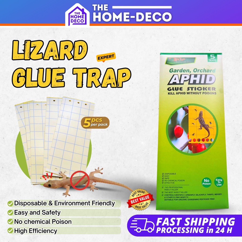 Aphid Gecko Lizard Trap Adhesive Sticky Glue Trap Lizard Strong Boards ...