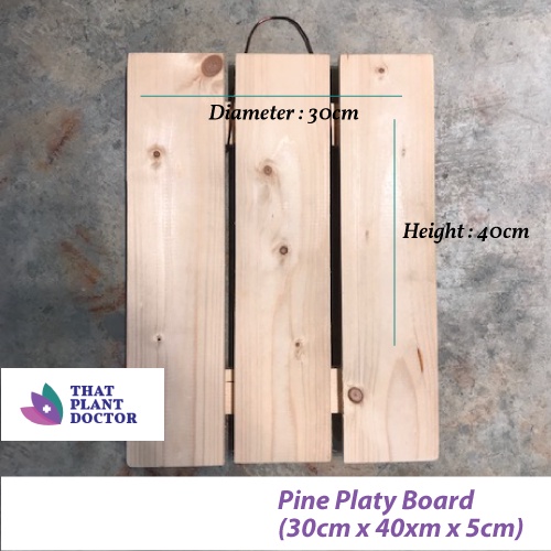 Pine Platy Board (30cm x 40cm) (Staghorn / Platycerium Board) | Shopee ...