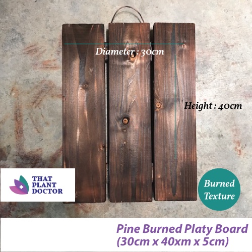 Pine Burned Platy Board (30cm x 40cm) (Staghorn / Platycerium Board ...