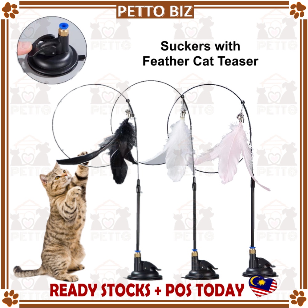 Sucker with Feather Teaser Cat Interactive Toy Cat Toy Teaser Cats ...