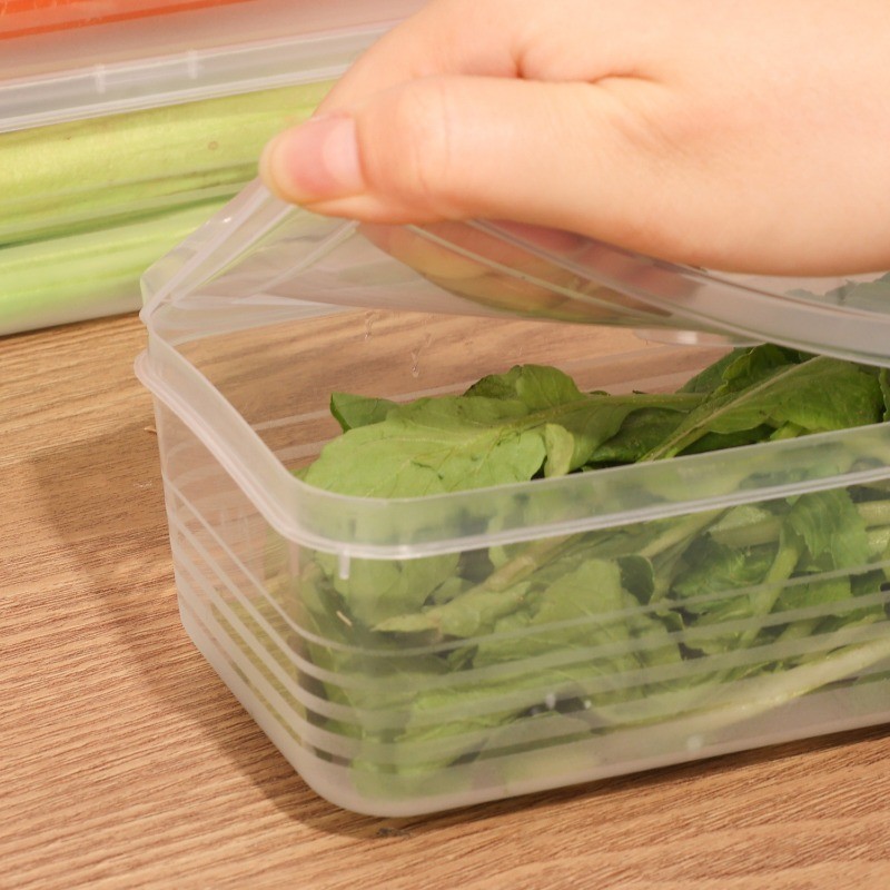 Kitchen Rectangle Transparent Storage Box Refrigerator Cilantro ...