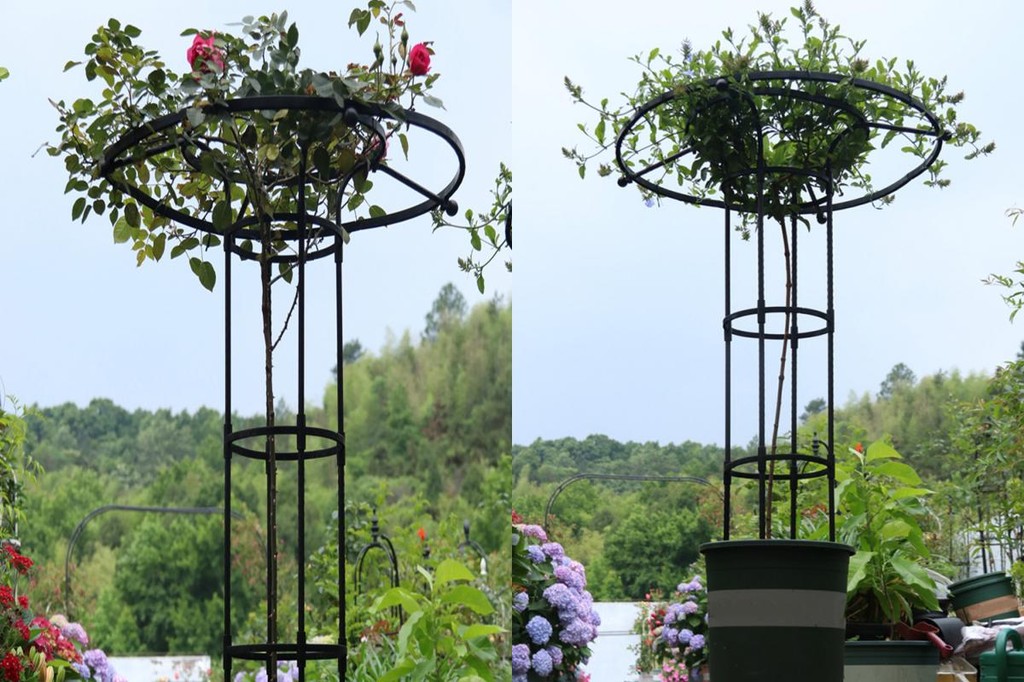 IBN- Durable Garden Plant Support Weather-resistant Plant Trellis Metal ...