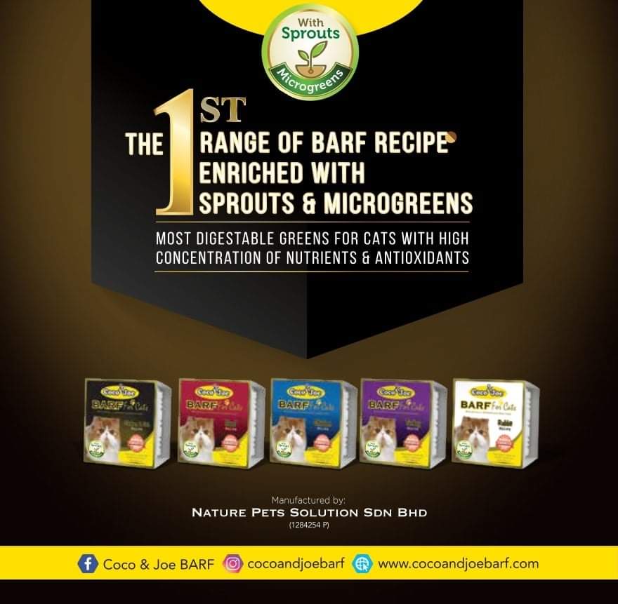 [Instant Delivery] Coco & Joe Barf Raw Food For Cats ( 300g and 1kg ...