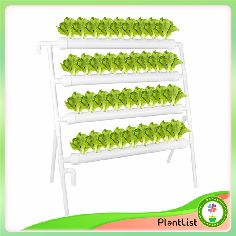 PlantList 🎍 Hydroponic Set / Hidroponik Set 36 Holes Ladder Four Tier ...