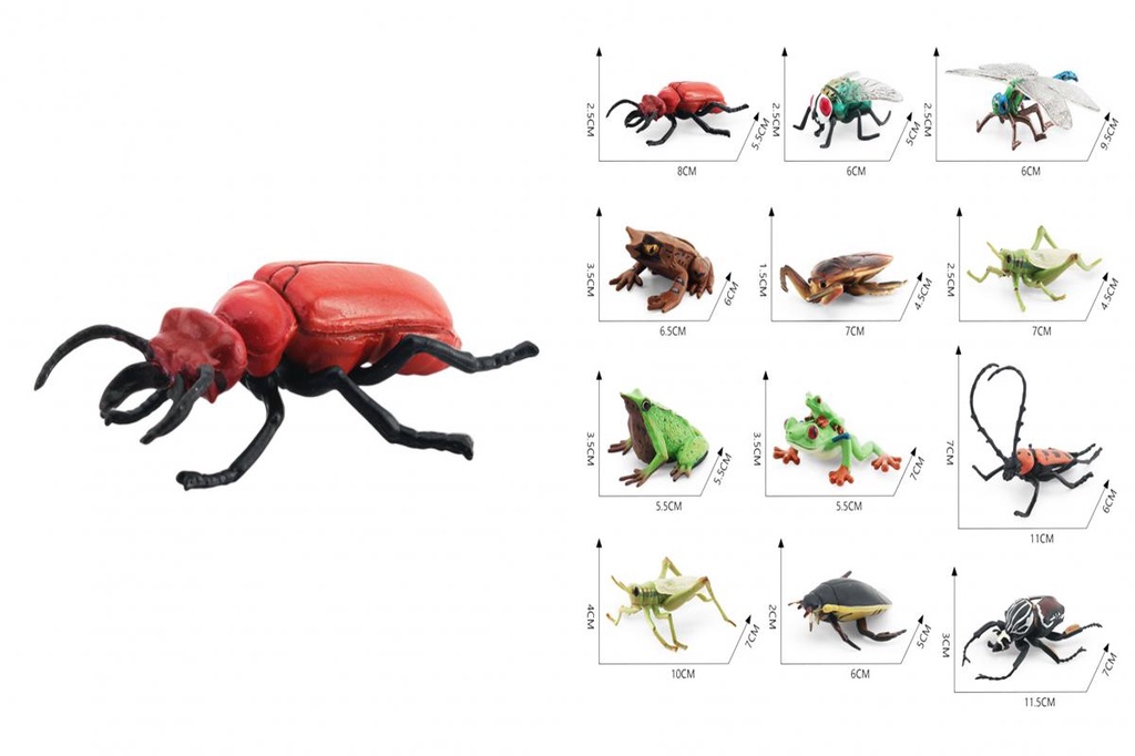 NTA Realistic Beetle Model Educational Toy Insect Beetle Statue Model ...