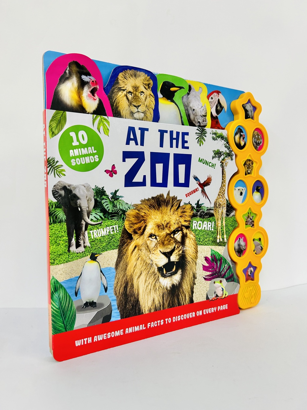 At The Zoo Sound Book For Kids To Learn About Animals With 10 Buttons ...