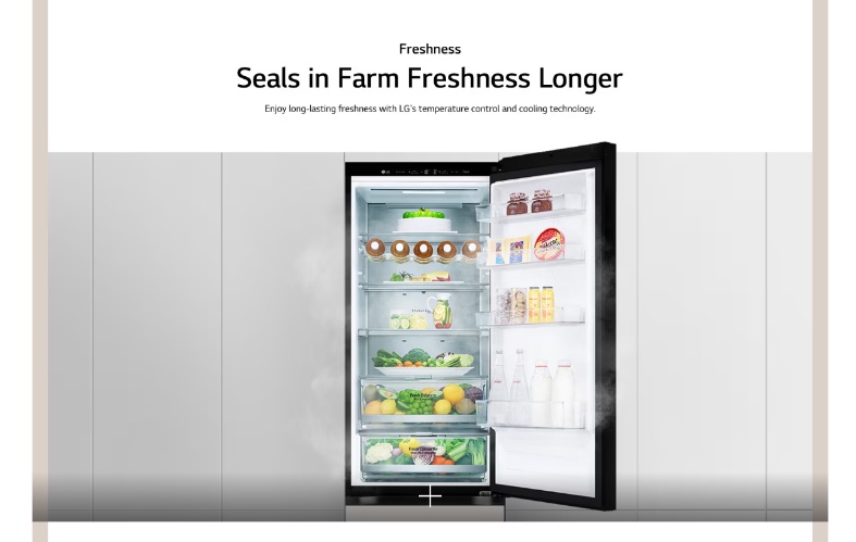 [SAVE 4.0] LG 341L 2 Door Inverter Bottom Freezer Refrigerator GC ...