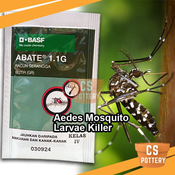Insecticide 100g/ 10g ABATE 1.1G Aedes Mosquito Larvae Killer / Racun Serangga Jentik Nyamuk ...