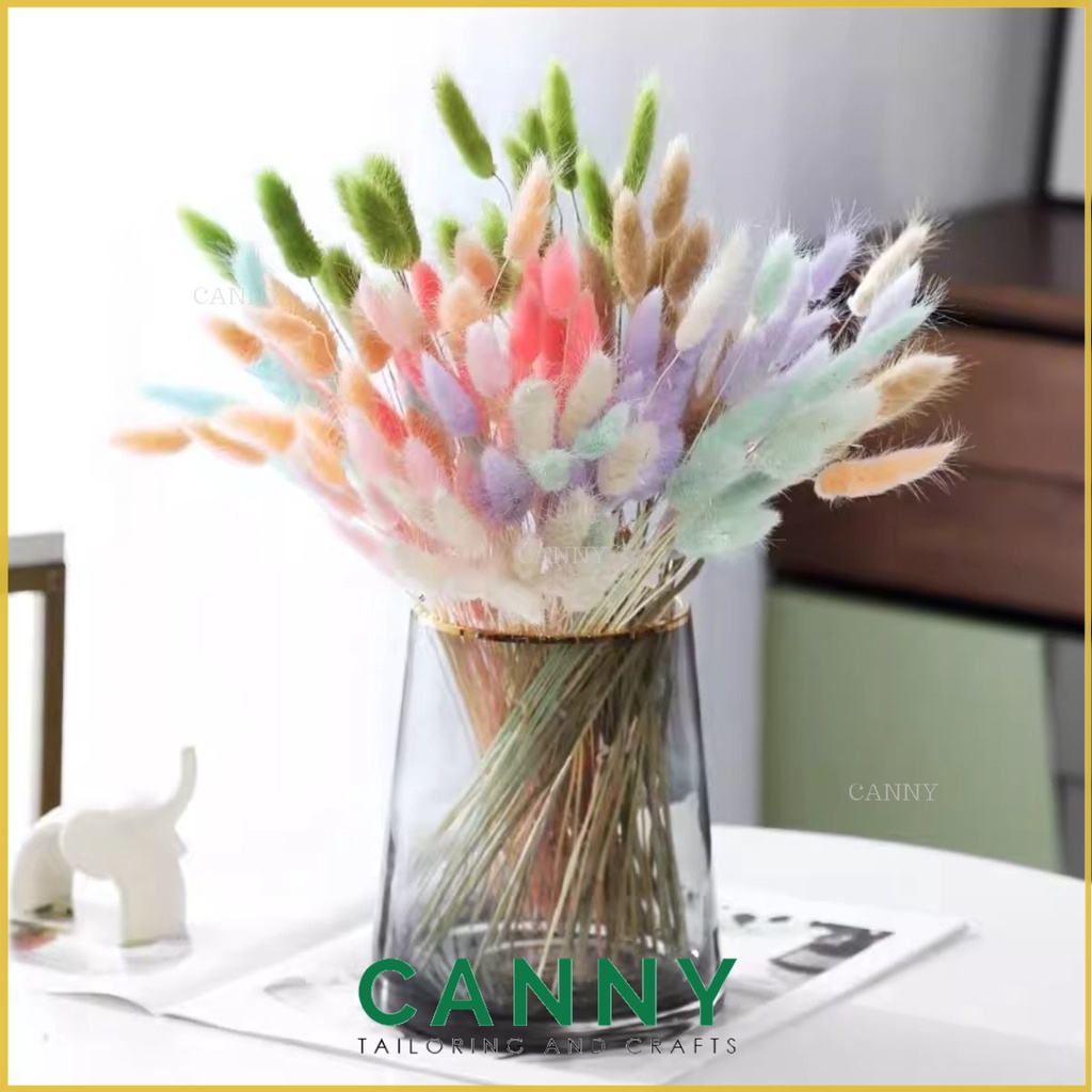 (30pcs) Dried Flower Rabbits Tail Dry Flower Bouquet / Rabbit Tail ...