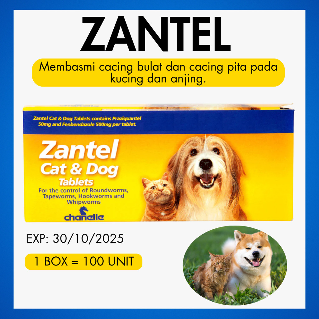 1 BOX (10PACK=100pcs) - ZANTEL DEWORM TABLETS FOR DOGS AND CATS ...