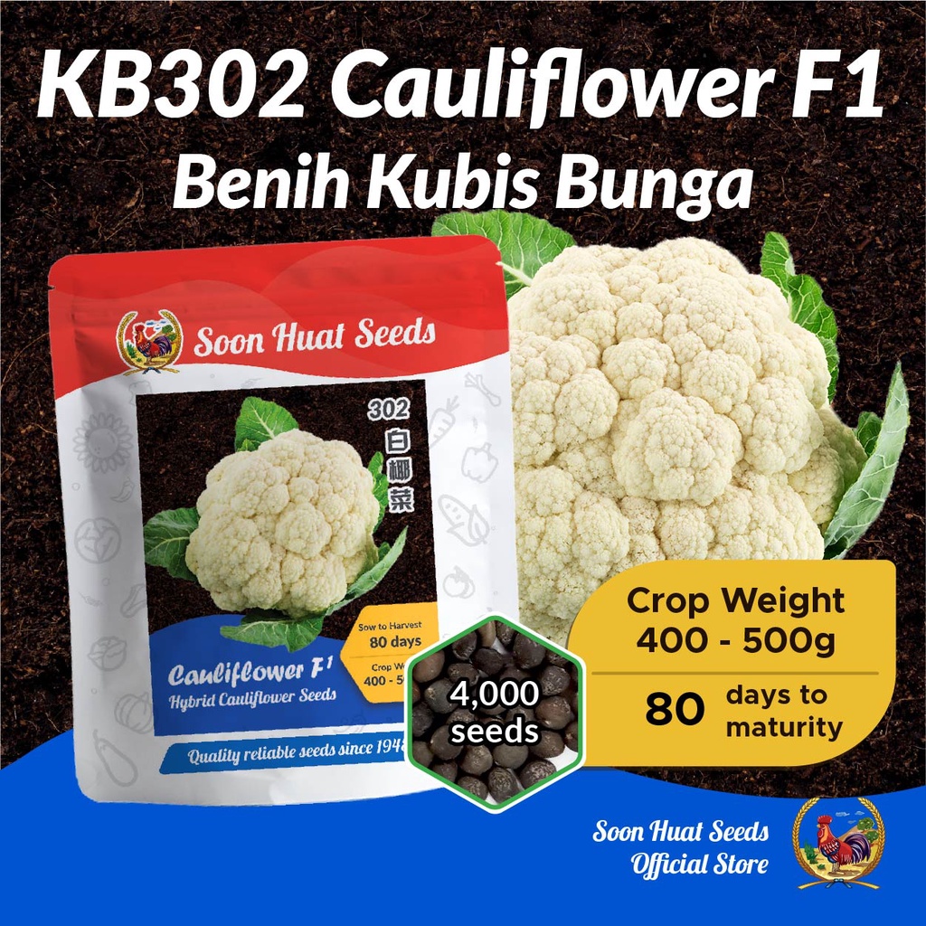 [10g] 302 Benih Sayur Kubis Bunga Cauliflower Soon Huat Seeds | Shopee ...