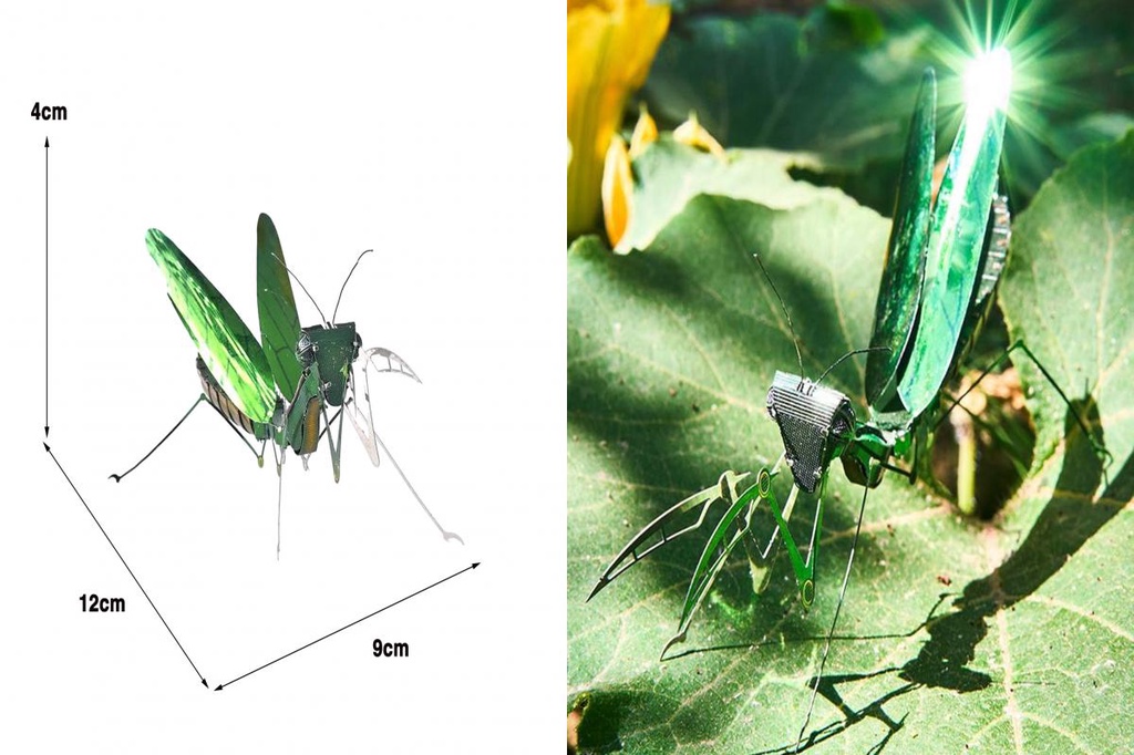 {halfa} Lifelike Mantis Statue Realistic Metal Praying Mantis 3d Puzzle ...