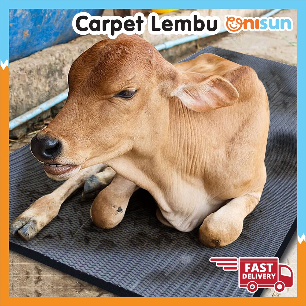 Carpet Lembu | Karpet Haiwan | Lapik Lori | HighGred Mulitpurpose Heavy ...
