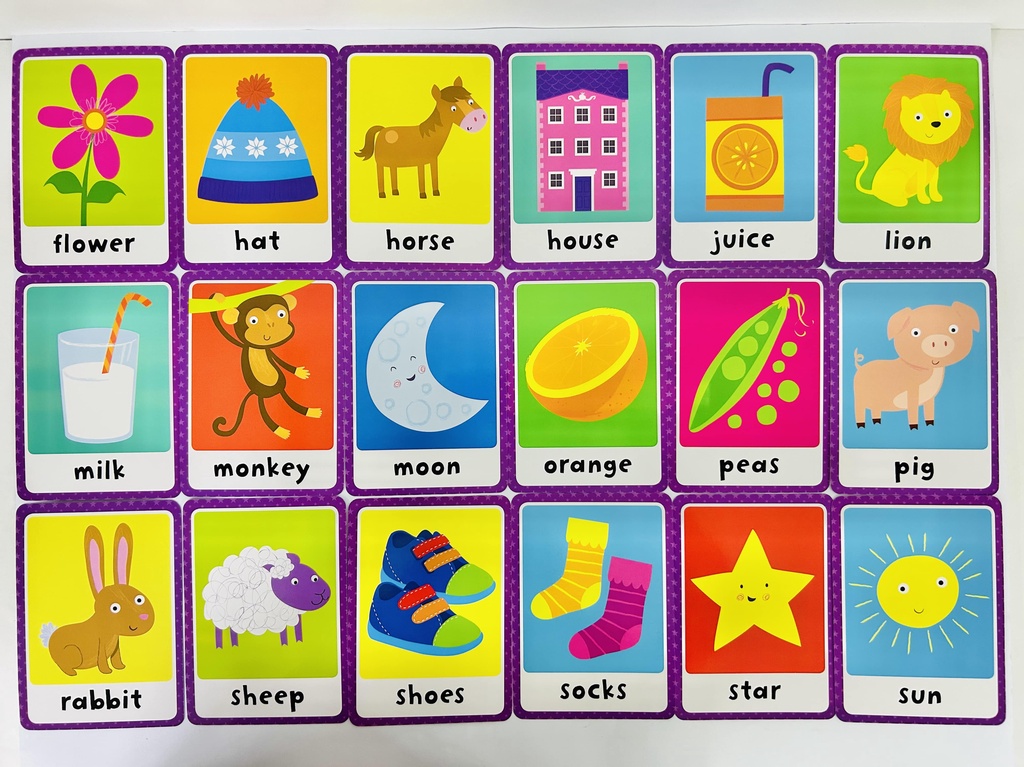 Tiny Tots My First Words Flashcards Case For Kids To Learn New Words ...