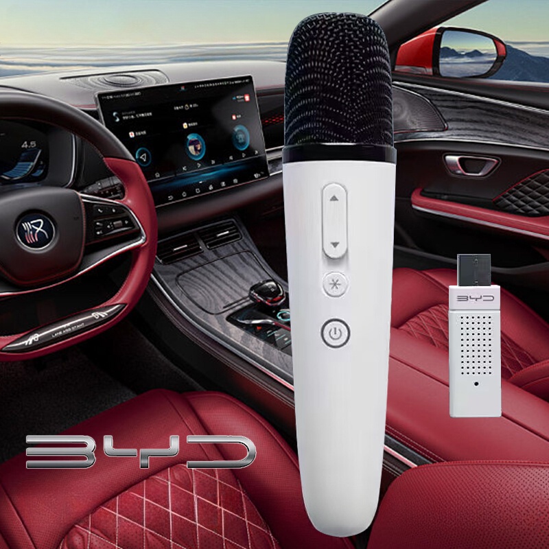 Car Microphone with Receiver Car Karaoke Mic for BYD Dolphin/Seal/ATTO ...