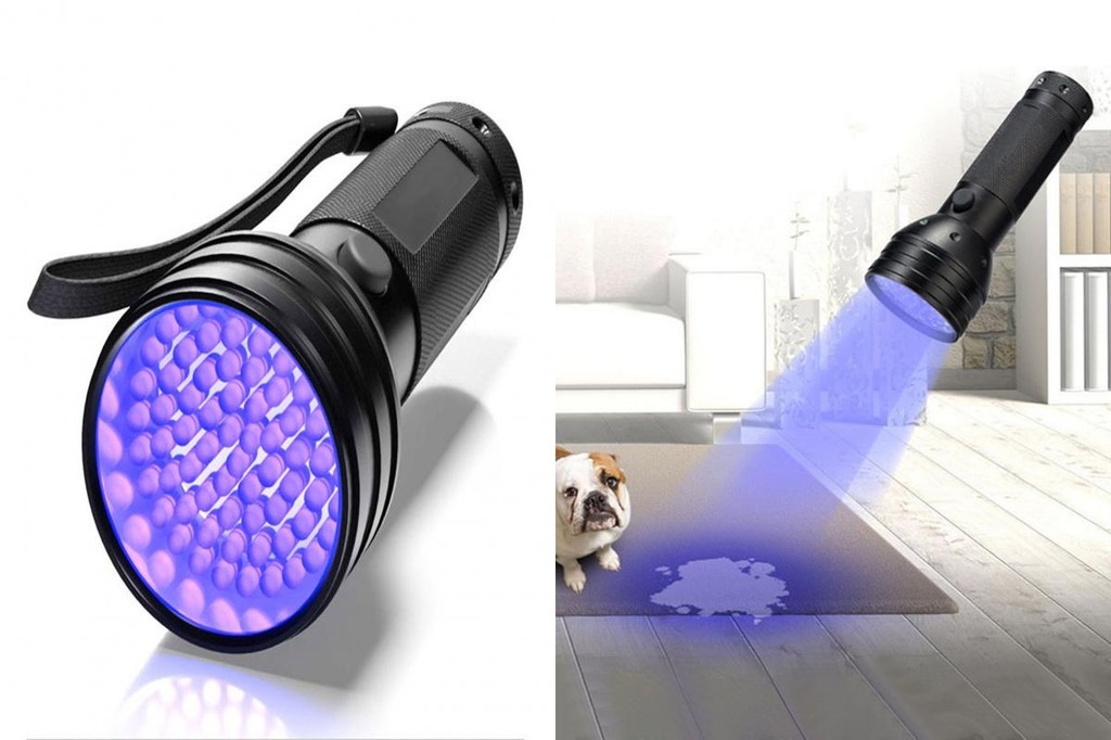 SPRINGGREEN| Uv Flashlight Black Light Waterproof Blacklight Flashlight ...