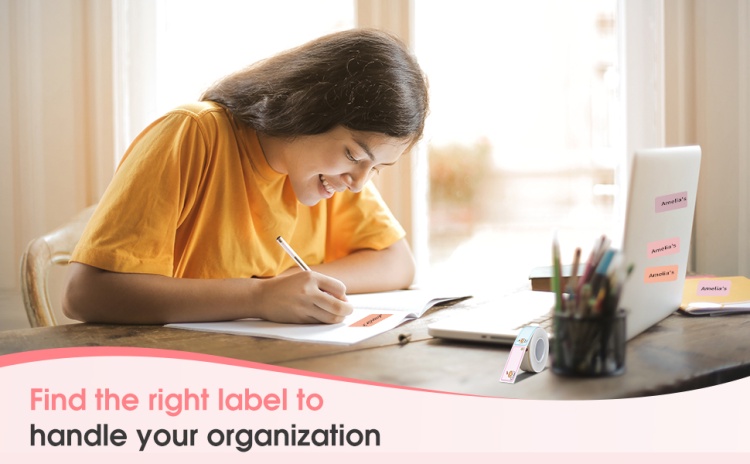 NIIMBOT D11/D110/D101/H1S Transparent Label Printing Paper Name ...