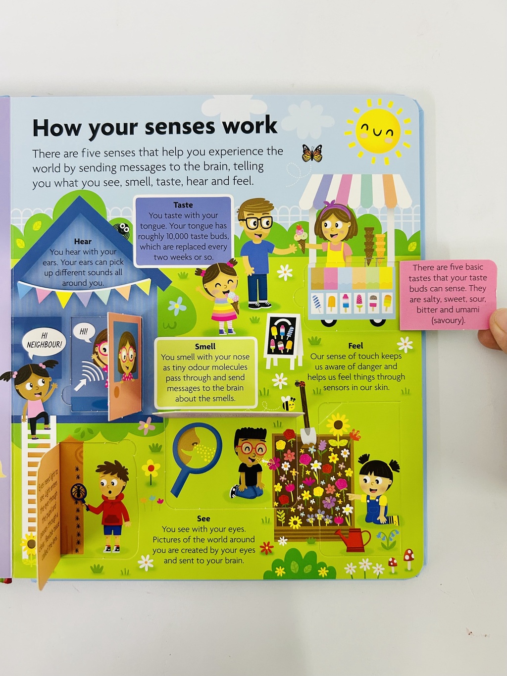 Lift The Flaps Board Book For Kids To Learn About Human Body With 50 ...