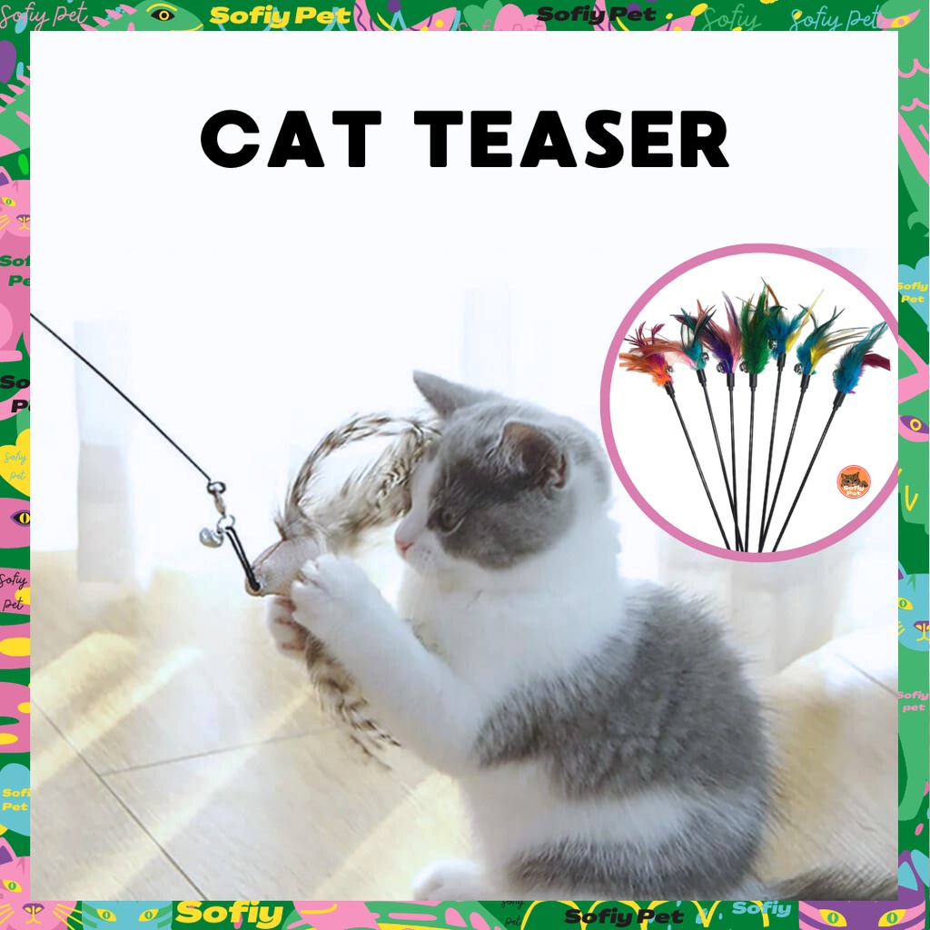 Mainan Kucing Murah Cat Toy Cat Teaser Cat Ball Mainan Tikus Cat Mouse ...