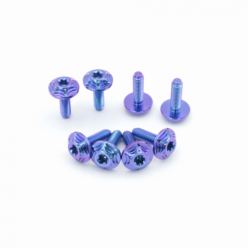 GR5/TC4 Motorcycle CNC Titanium Alloy Screw M5 Motorcycle front ...