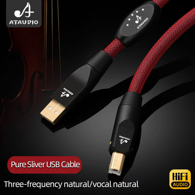 HiFi USB Audio Cable Hi-end Pure Silver USB A to B DAC Decoder ...