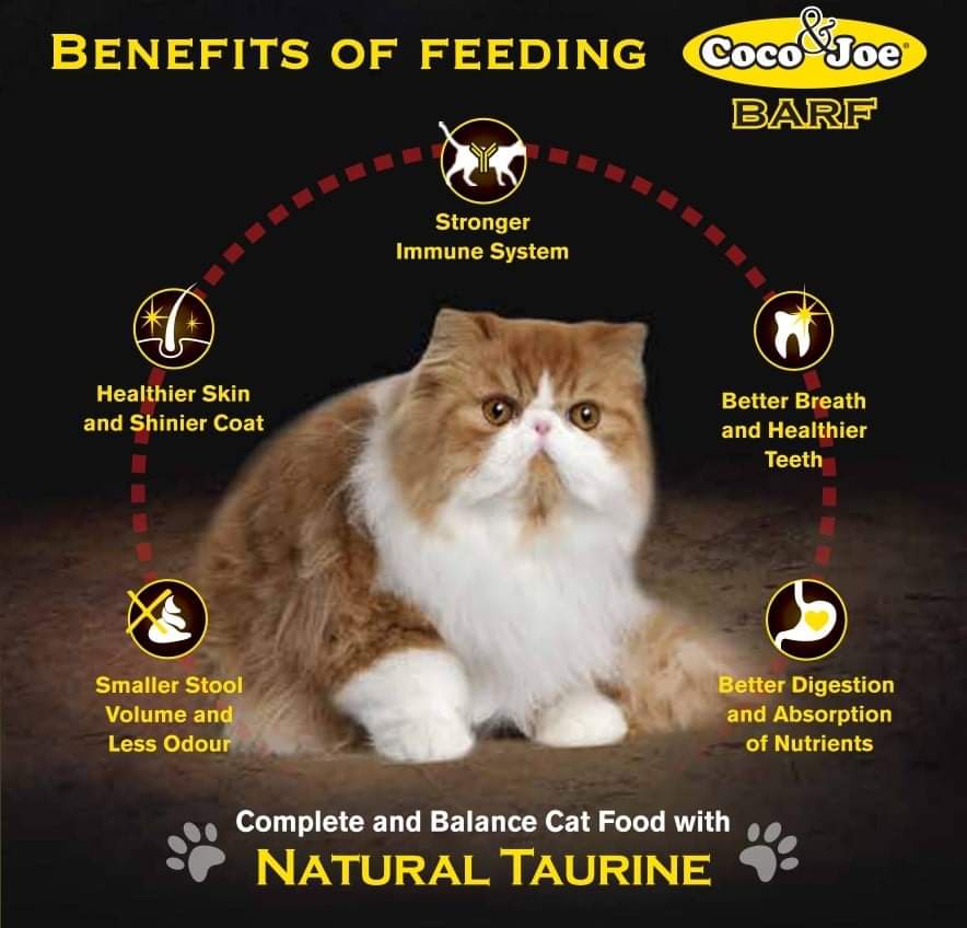 [Instant Delivery] Coco & Joe Barf Raw Food For Cats ( 300g and 1kg ...