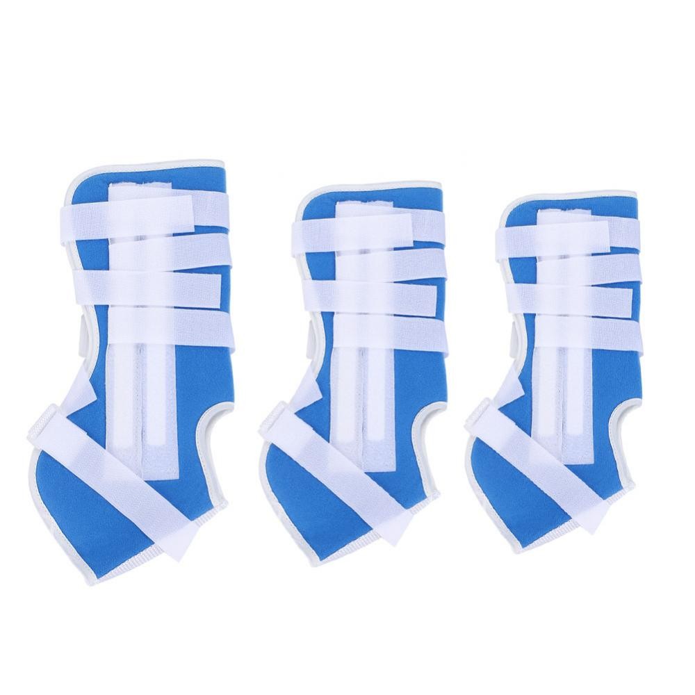 Ankle Fixation Joint External Ankle Fracture Tibial Fixation Treatment ...